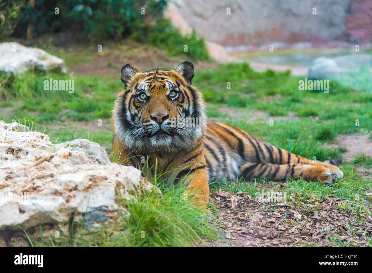 Biopark zoo hi-res stock photography and images - Alamy
