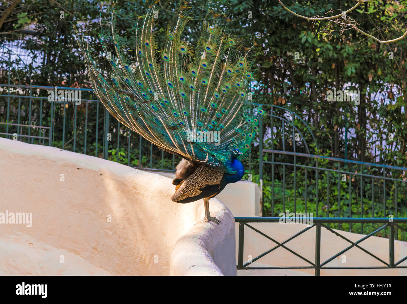 Rome, Italy - The animals of the Biopark, a zoological park in the ...