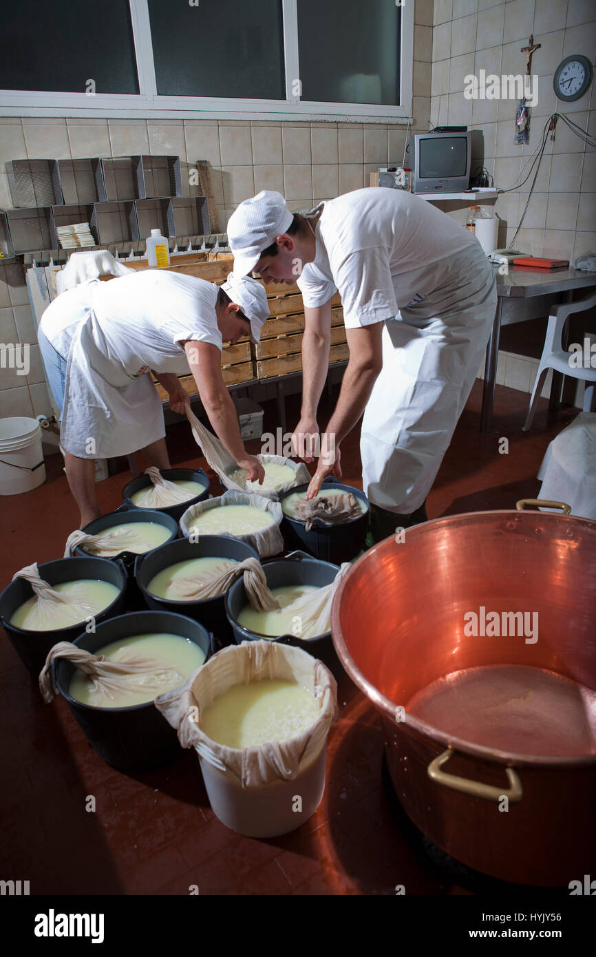 Europe,Italy,Lombardy,Valsassina,production of cheese Taleggio DOP ...