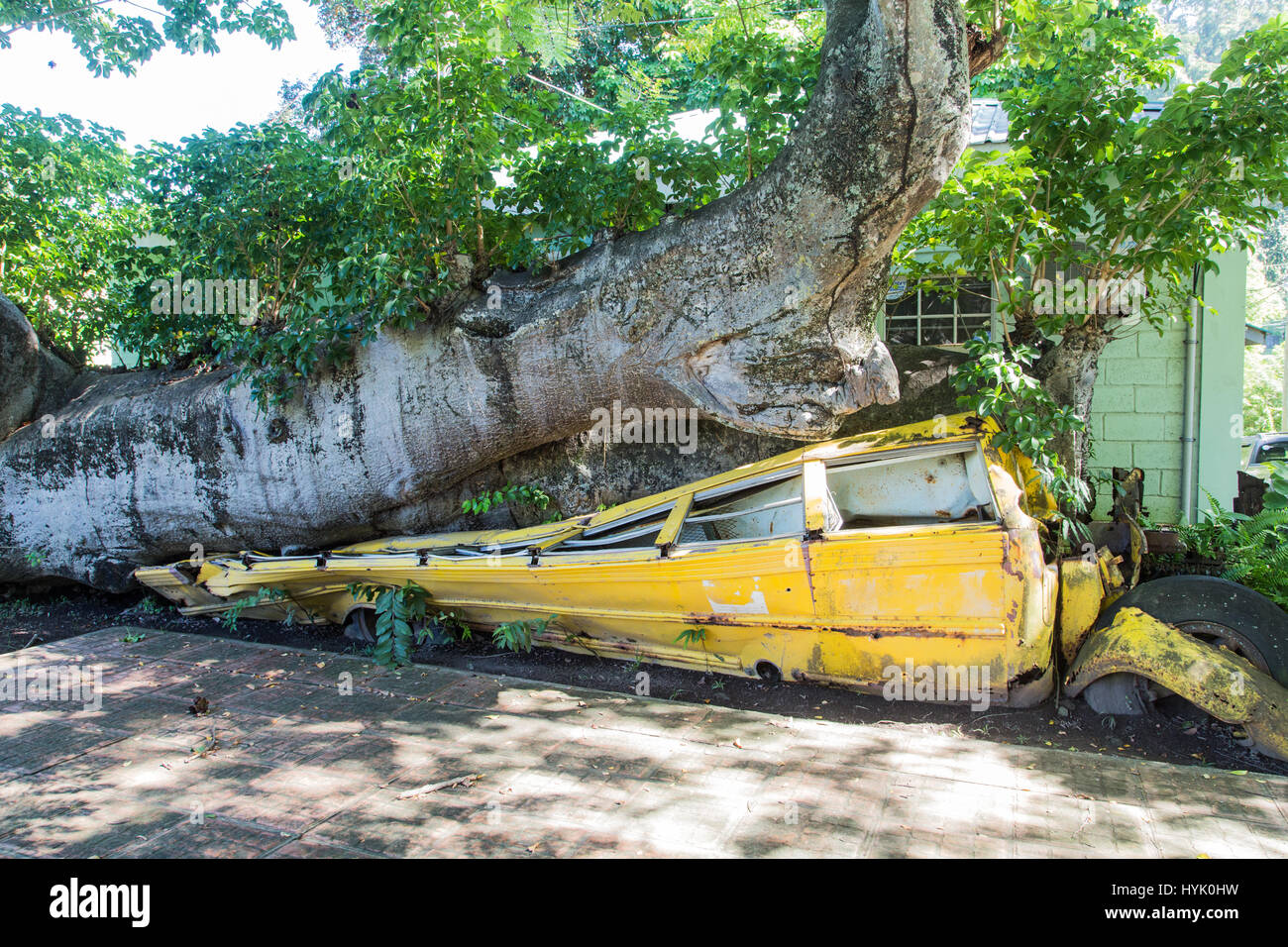 Crushed bus hi-res stock photography and images - Alamy