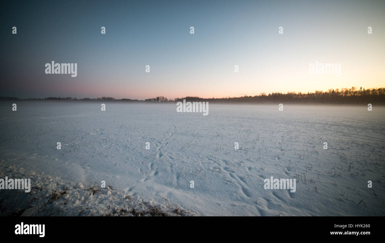 cold morning in the field in winter at countryside with snow and blue ...