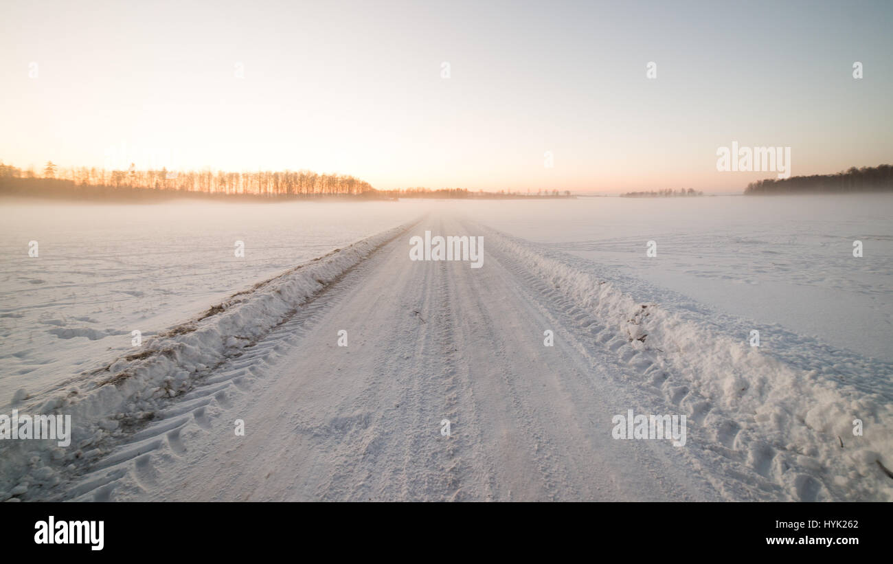 empty road in the countryside with trees in surrounding. perspective in ...