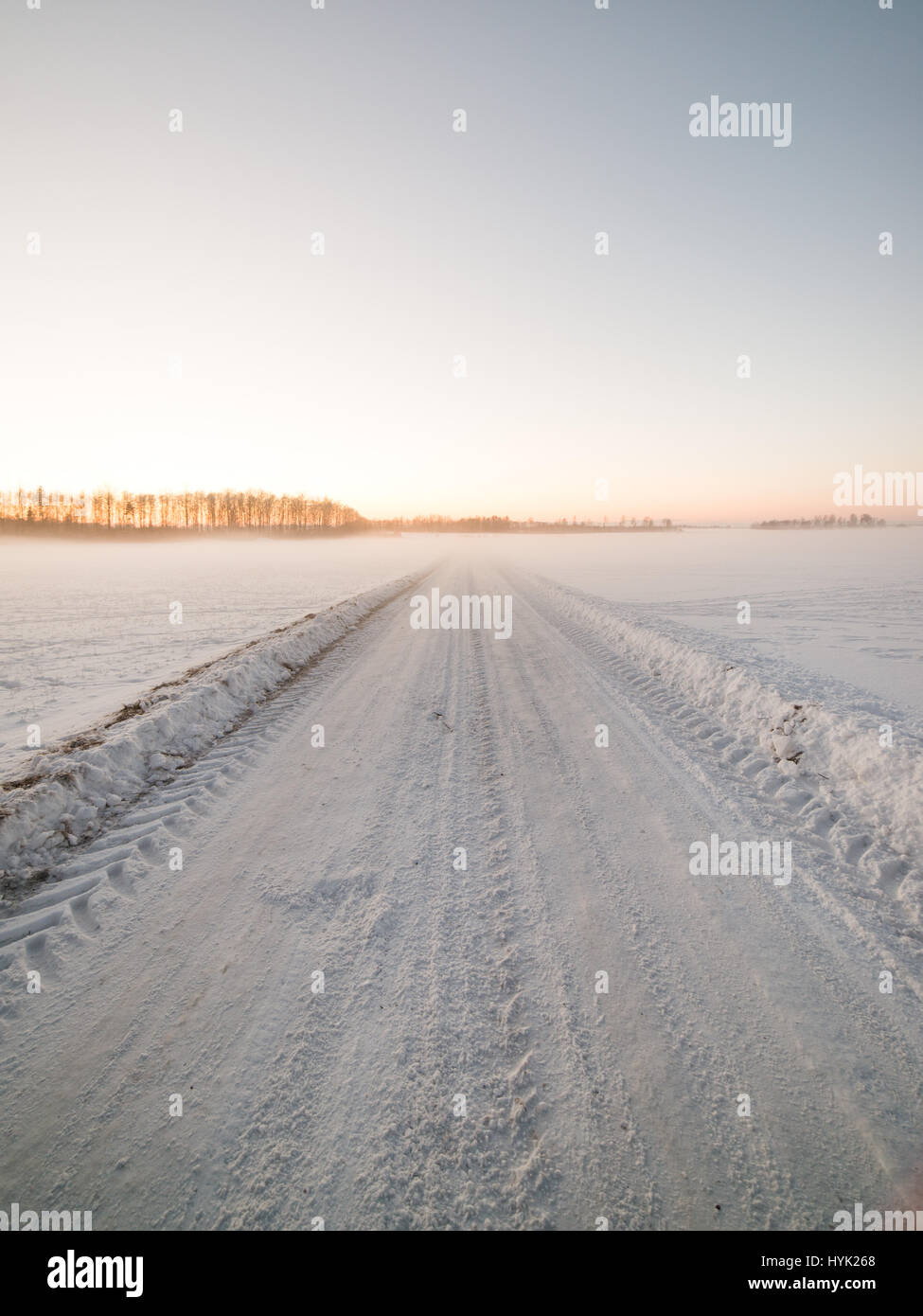 empty road in the countryside with trees in surrounding. perspective in ...