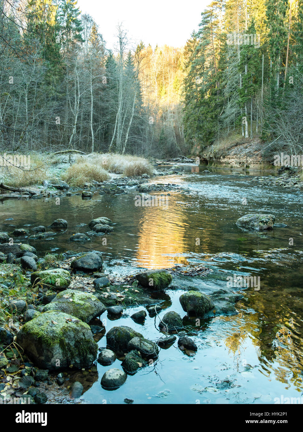 landscape with mountains trees and a river in front in autumn Stock ...