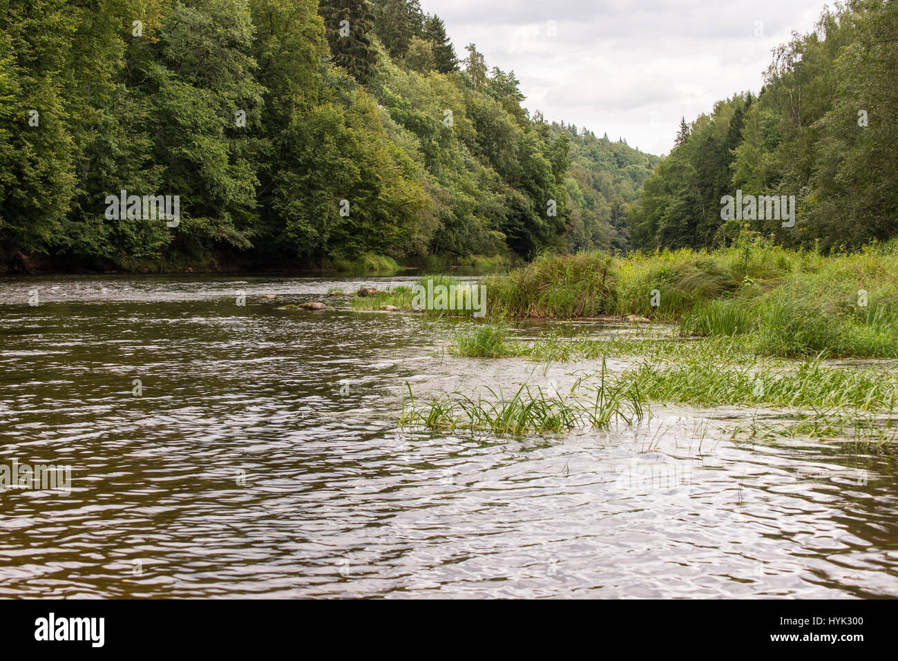 Mountain river with Flowing Water Stream and sandstone cliffs Stock ...