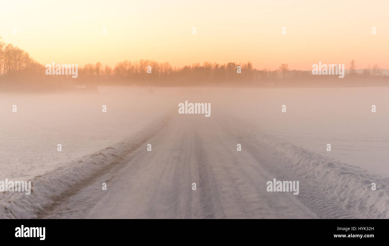 empty road in the countryside with trees in surrounding. perspective in ...