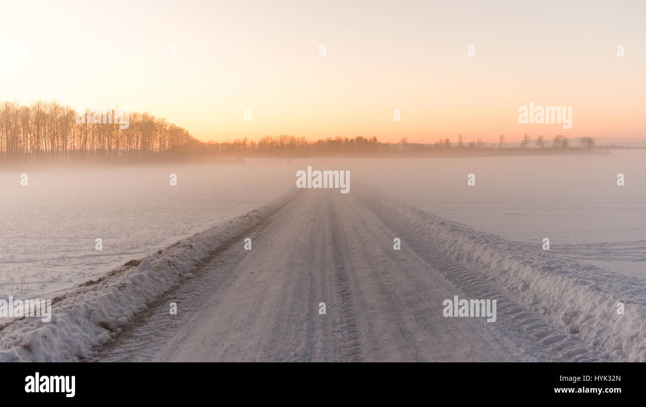 empty road in the countryside with trees in surrounding. perspective in ...