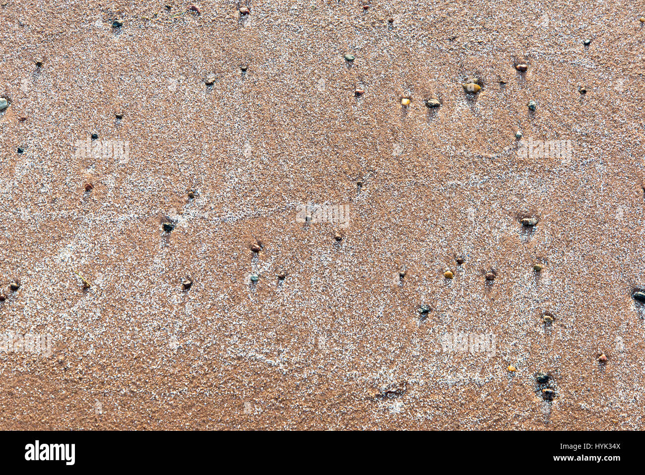 Wet sand texture in the sea shore beach Stock Photo - Alamy