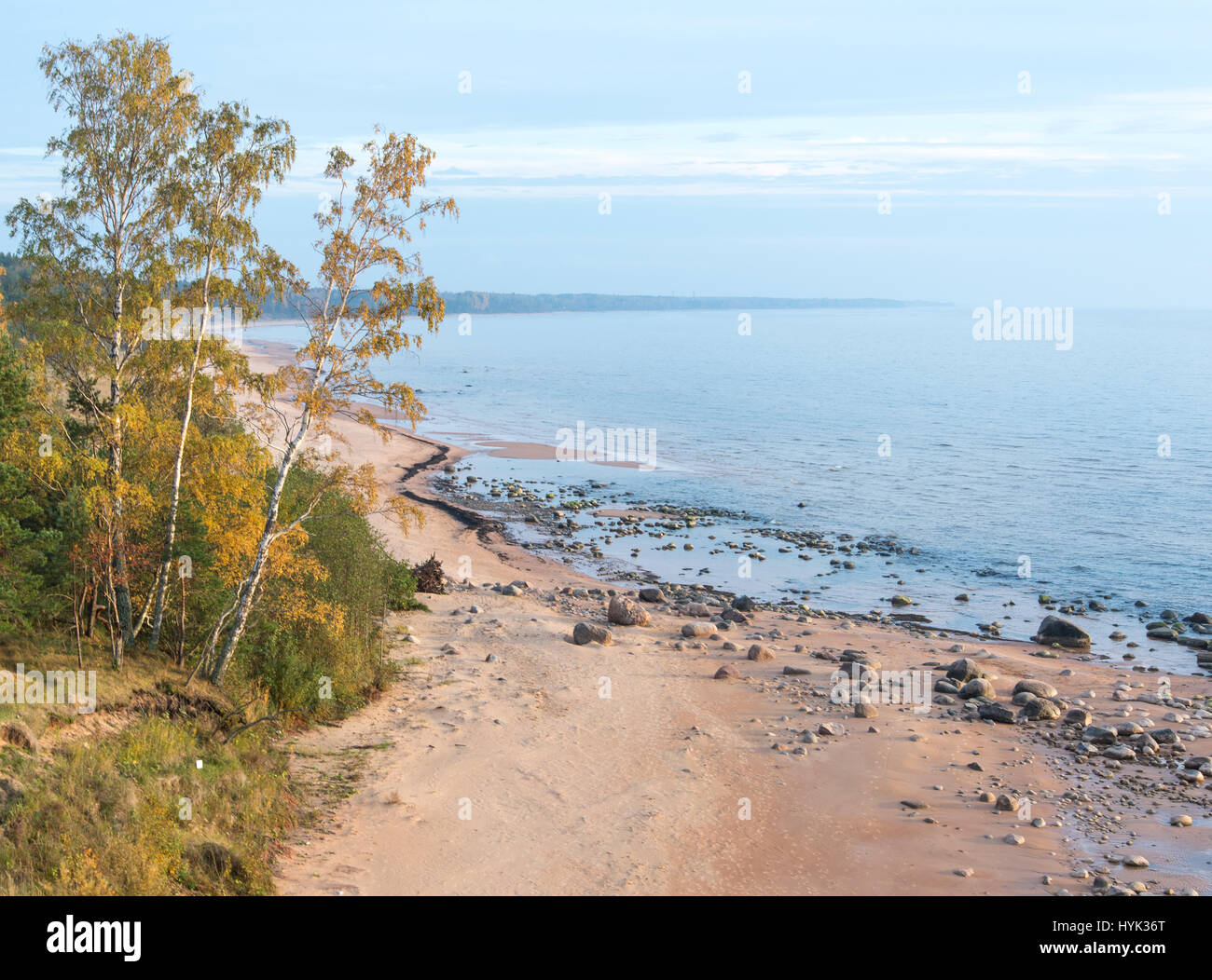 aerial view to the Shoreline of Baltic sea beach with rocks and sand ...