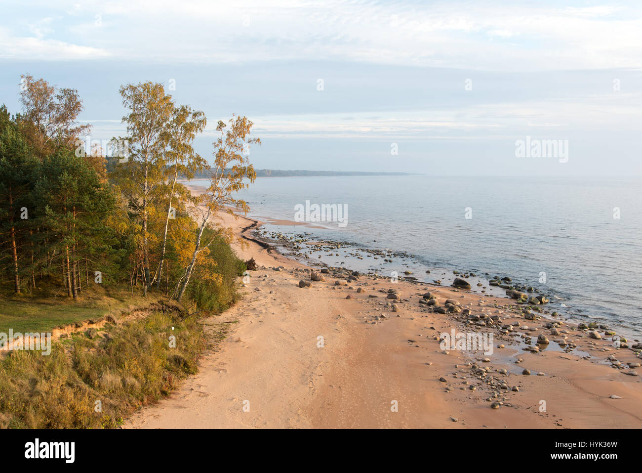 aerial view to the Shoreline of Baltic sea beach with rocks and sand ...