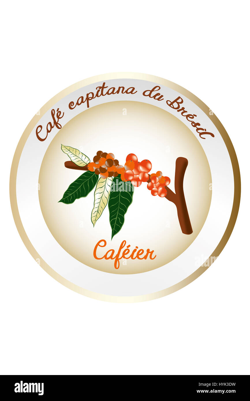 Isolated French coffee plant label illustration - hand drawn design ...