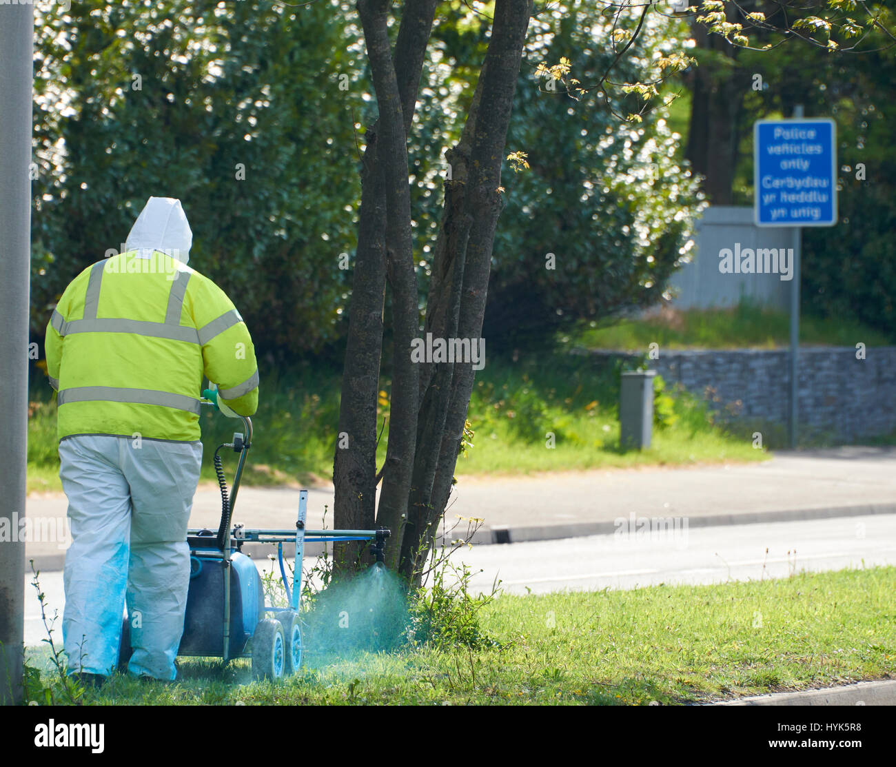 Pesticide being applied to the central reservation using a walkover ...