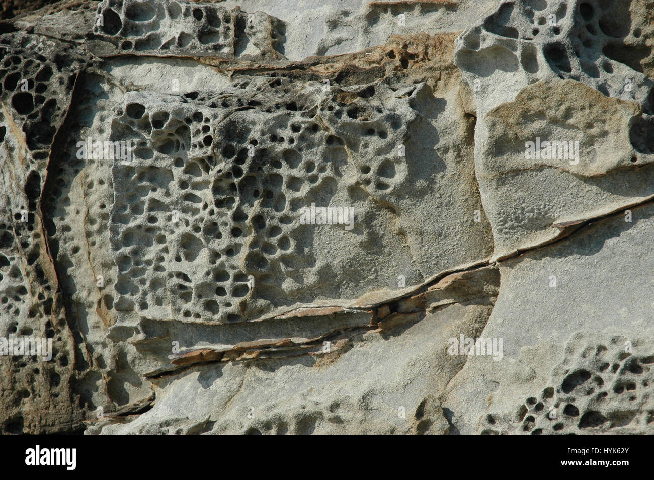 Close-up of eroded rocks at the beach. The rocks show cracks and ...
