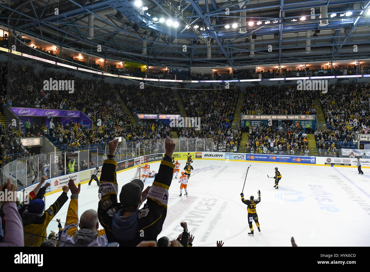 Fans celebrating at a hockey game Stock Photo - Alamy