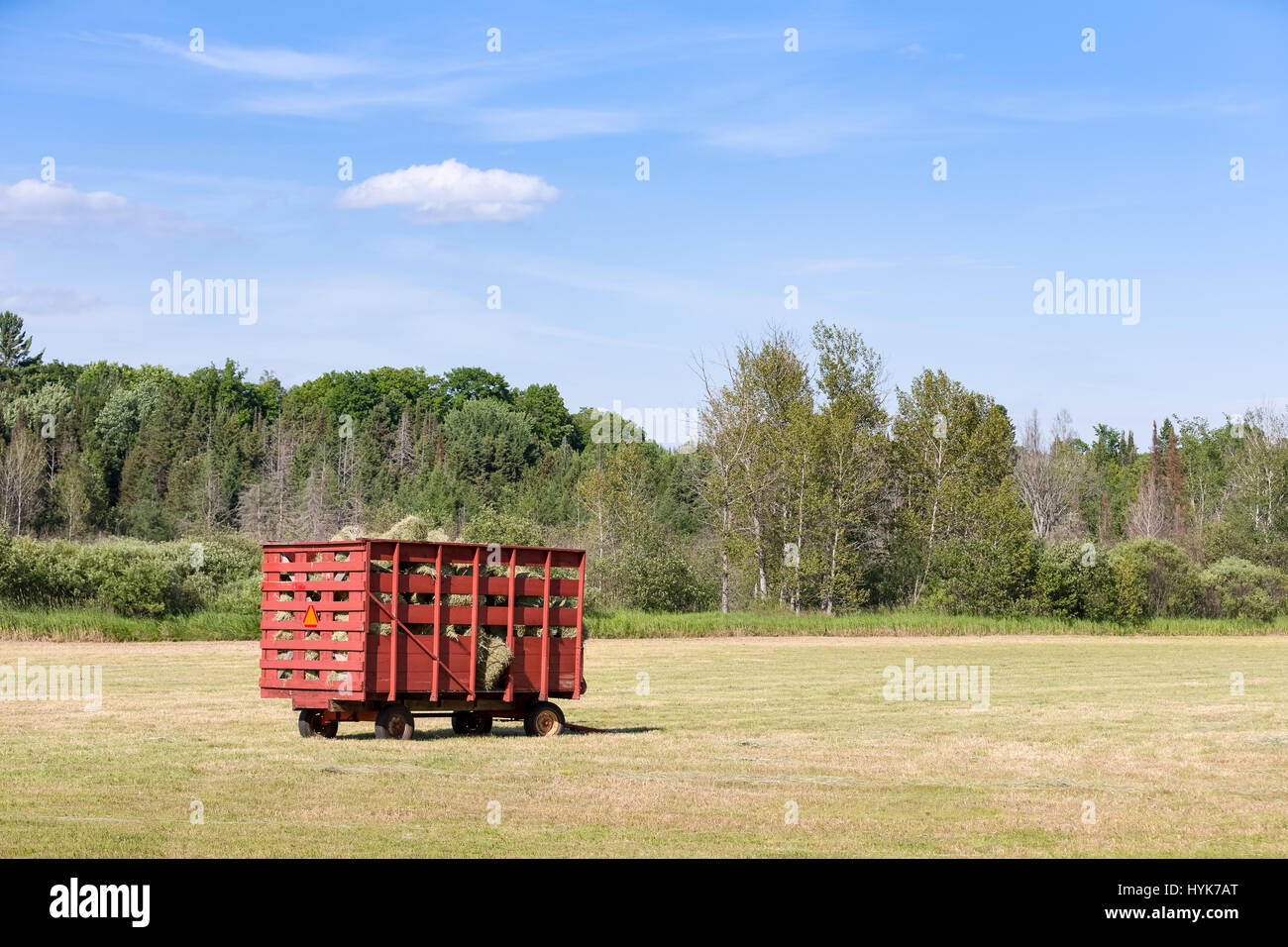 Red hay wagon full of freshly cut hay in a farm field. Copy space in ...