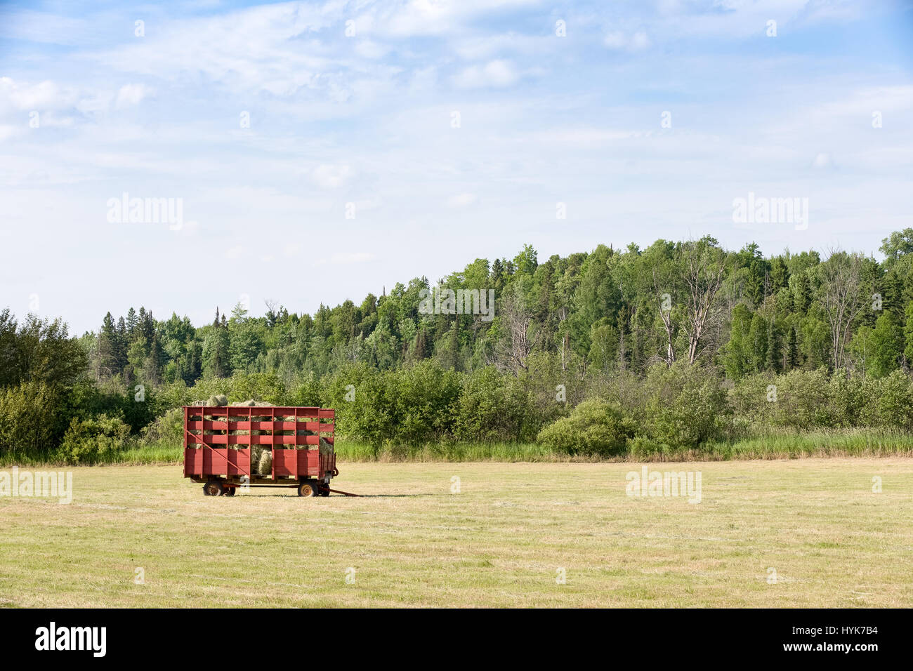 Red hay wagon full of freshly cut hay in a farm field. Copy space in ...