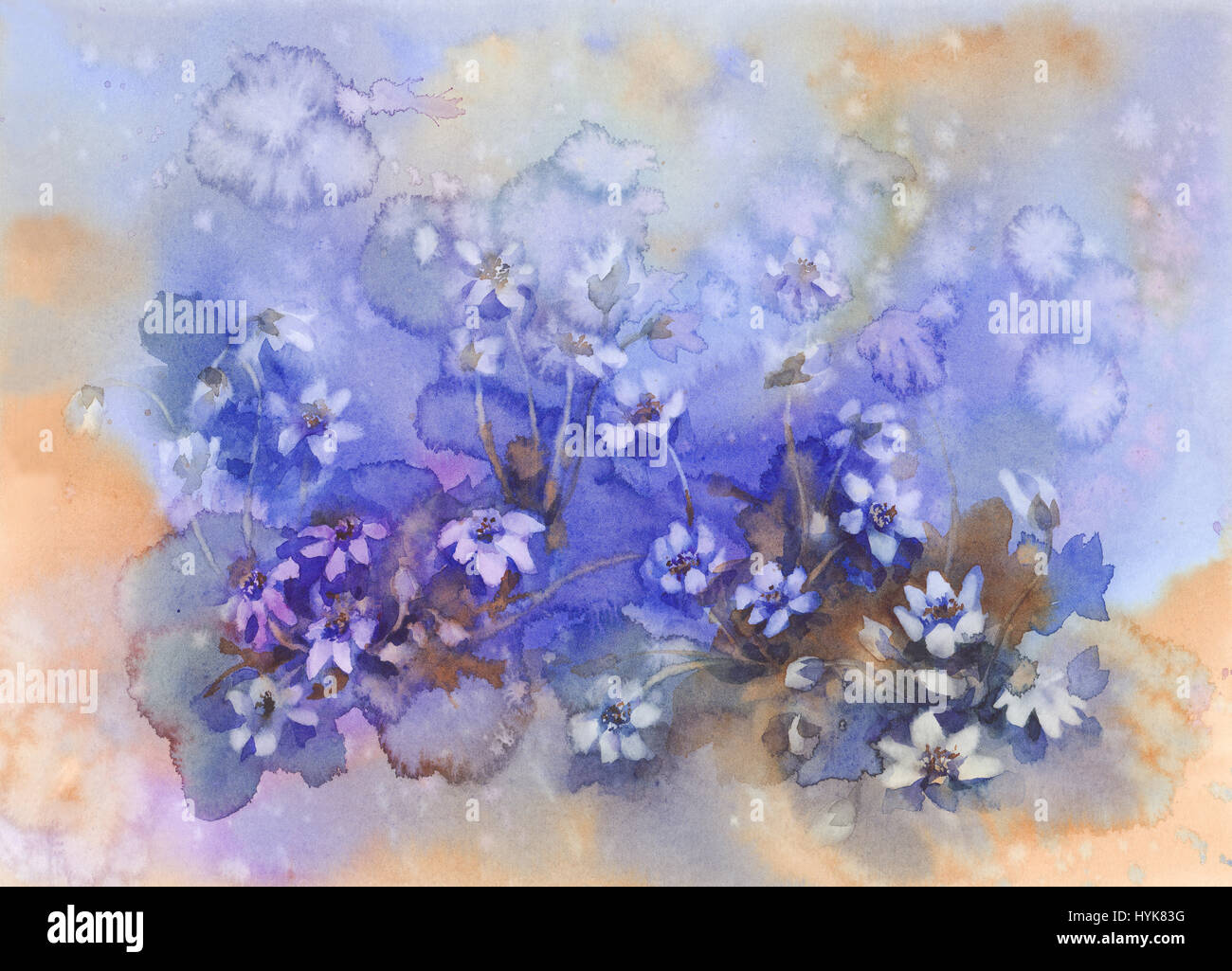 violet flowers watercolor background Stock Photo - Alamy