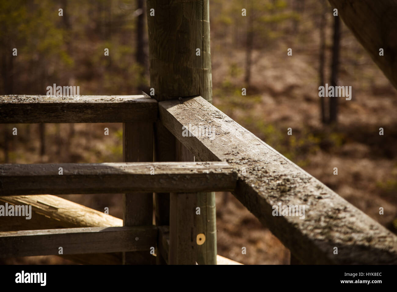 Details of a wooden bird watching tower Stock Photo - Alamy