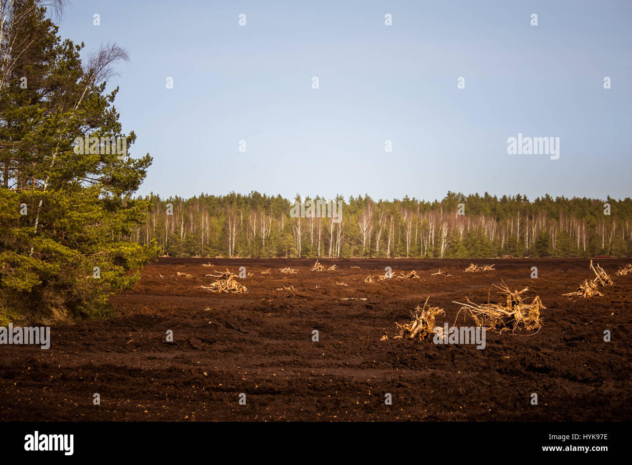 Peat marsh hi-res stock photography and images - Alamy