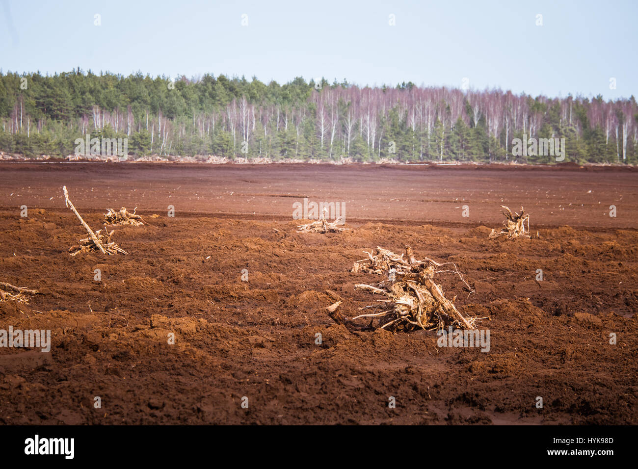 Peat marsh hi-res stock photography and images - Alamy