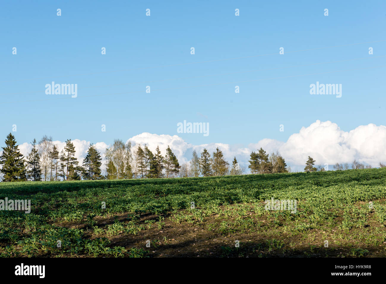 countryside fields in early spring with clouds and farmland Stock Photo ...