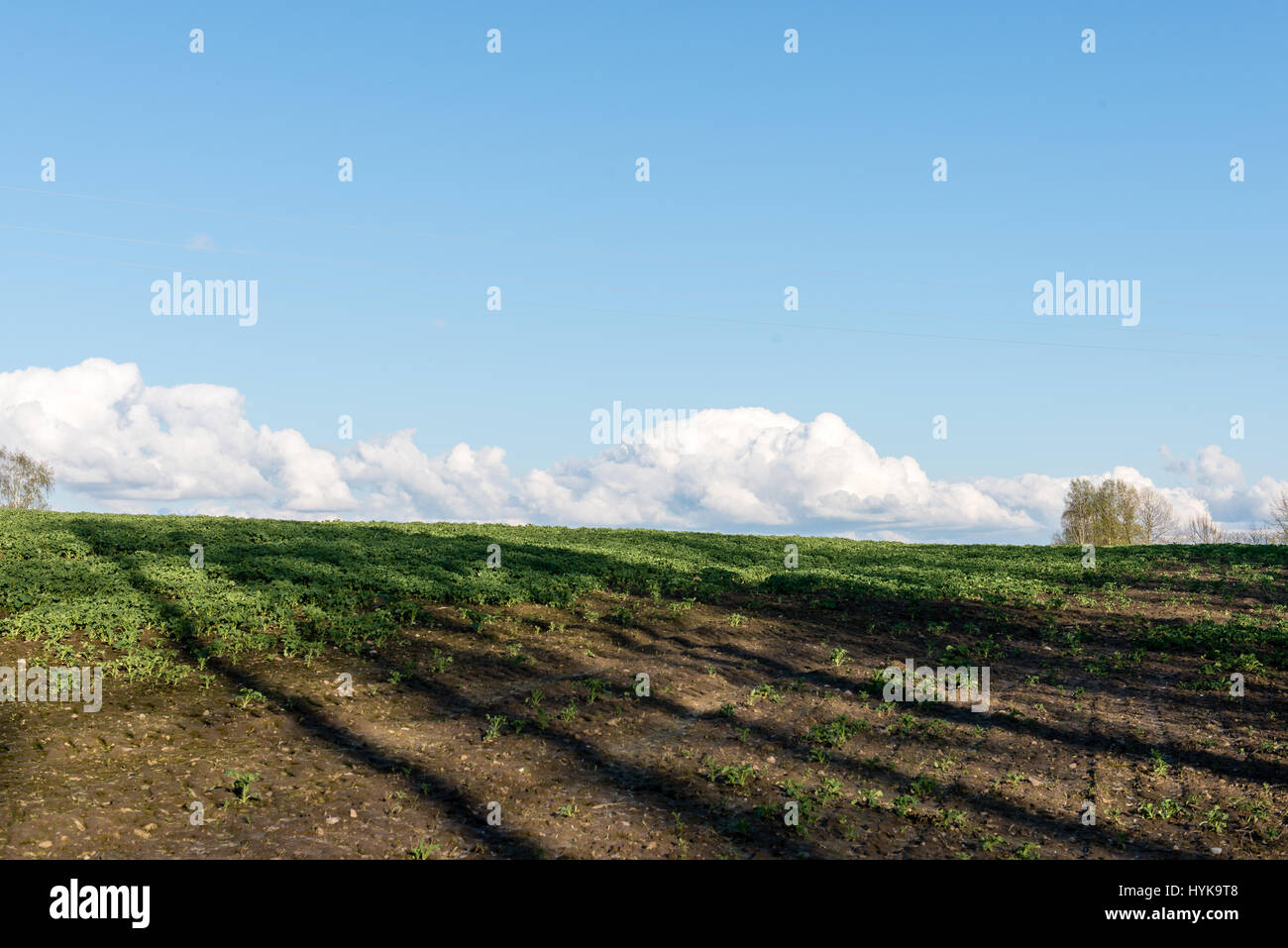 countryside fields in early spring with clouds and farmland Stock Photo ...