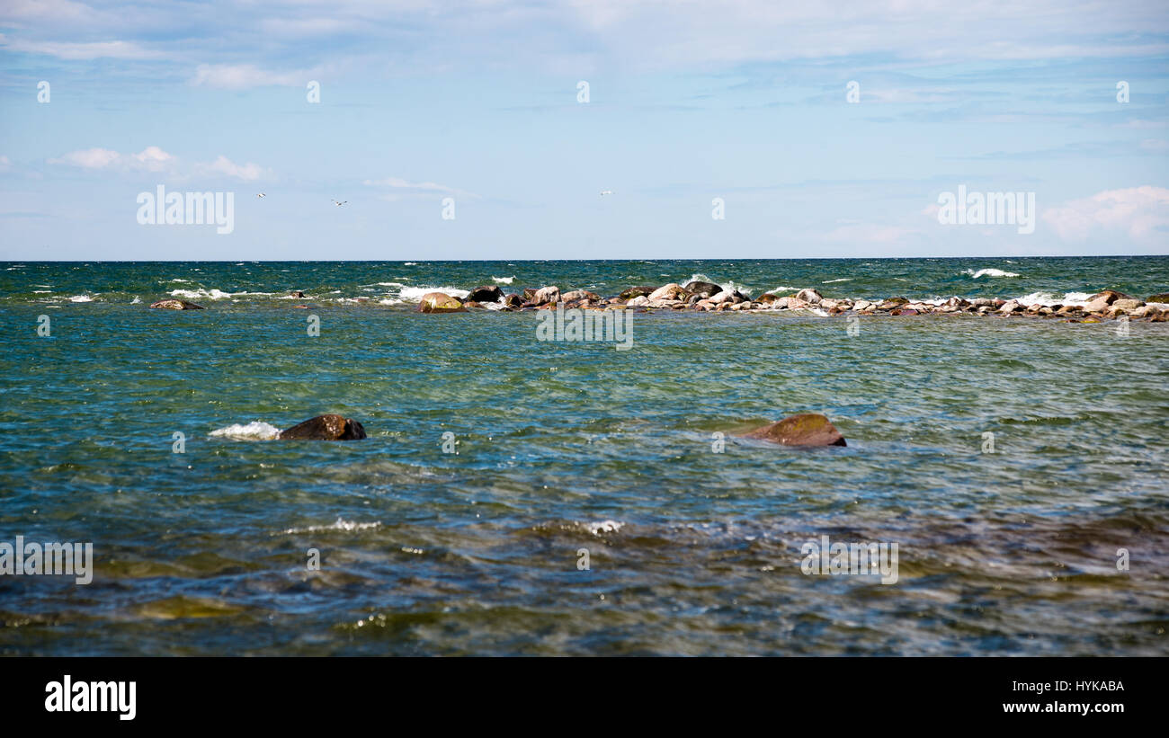 comfortable beach of the baltic sea with rocks and green vegetation in ...