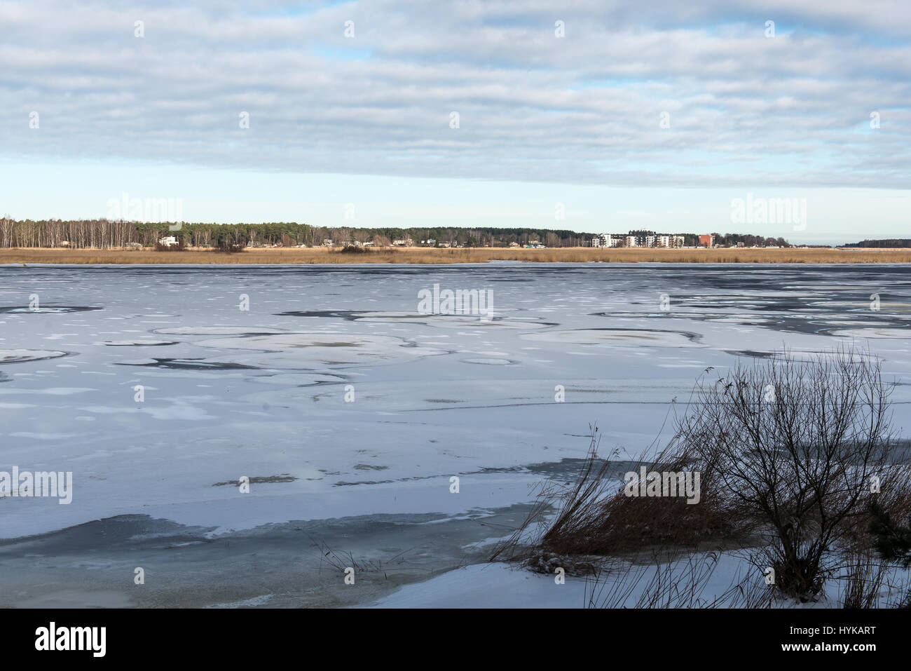 frozen sea beach with blue sky and snow covered tracks Stock Photo - Alamy