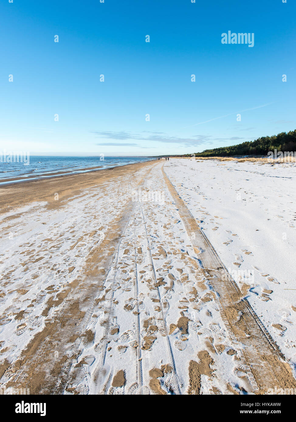 frozen sea beach with blue sky and snow covered tracks Stock Photo - Alamy