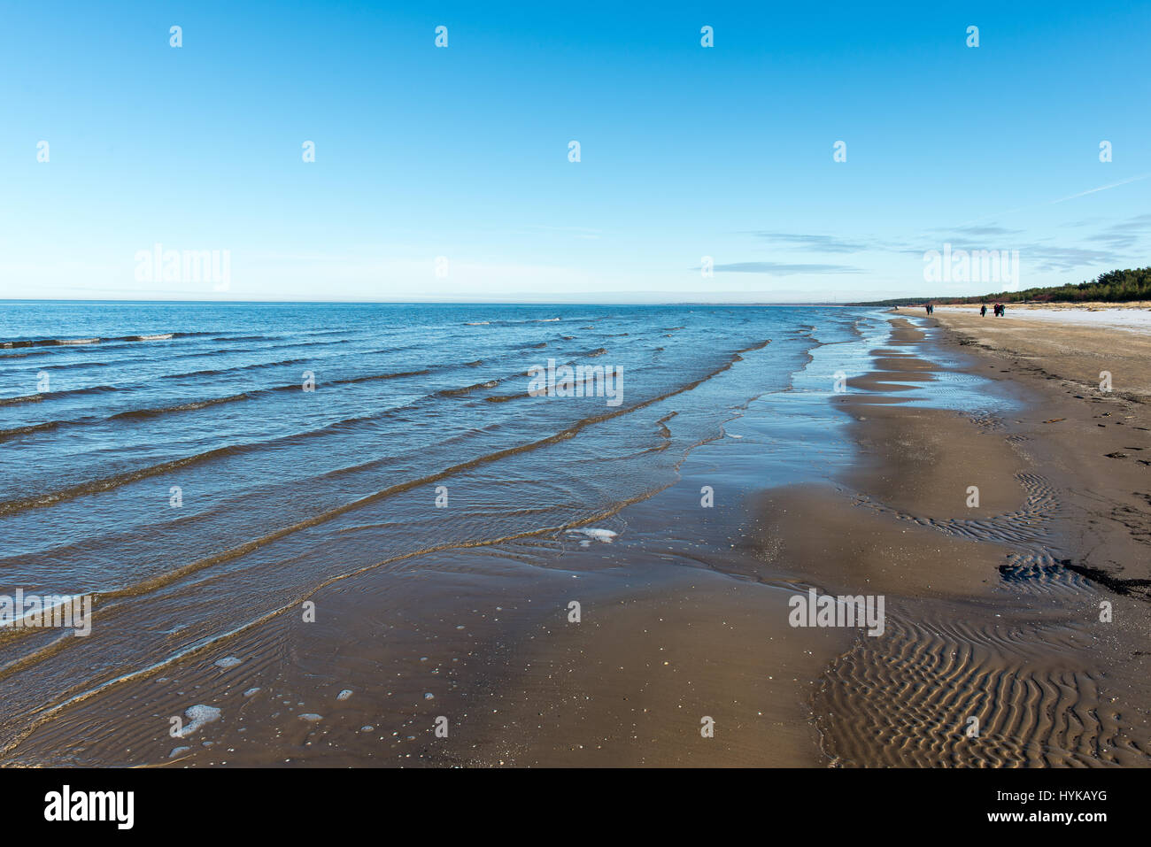 frozen sea beach with blue sky and snow covered tracks Stock Photo - Alamy