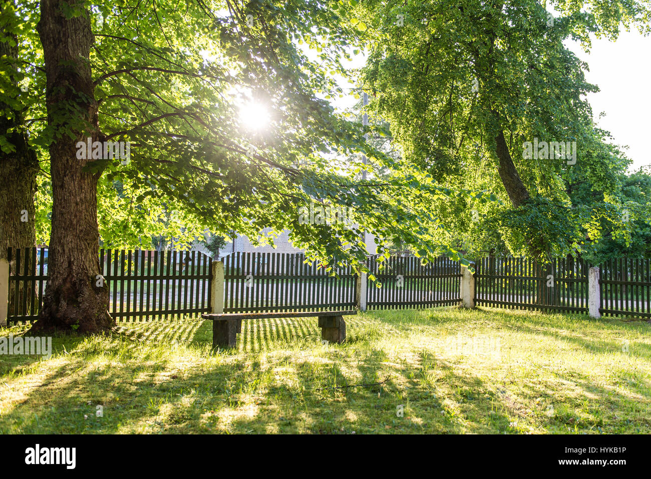 bench in beautiful park in autumn in colorful morning Stock Photo - Alamy