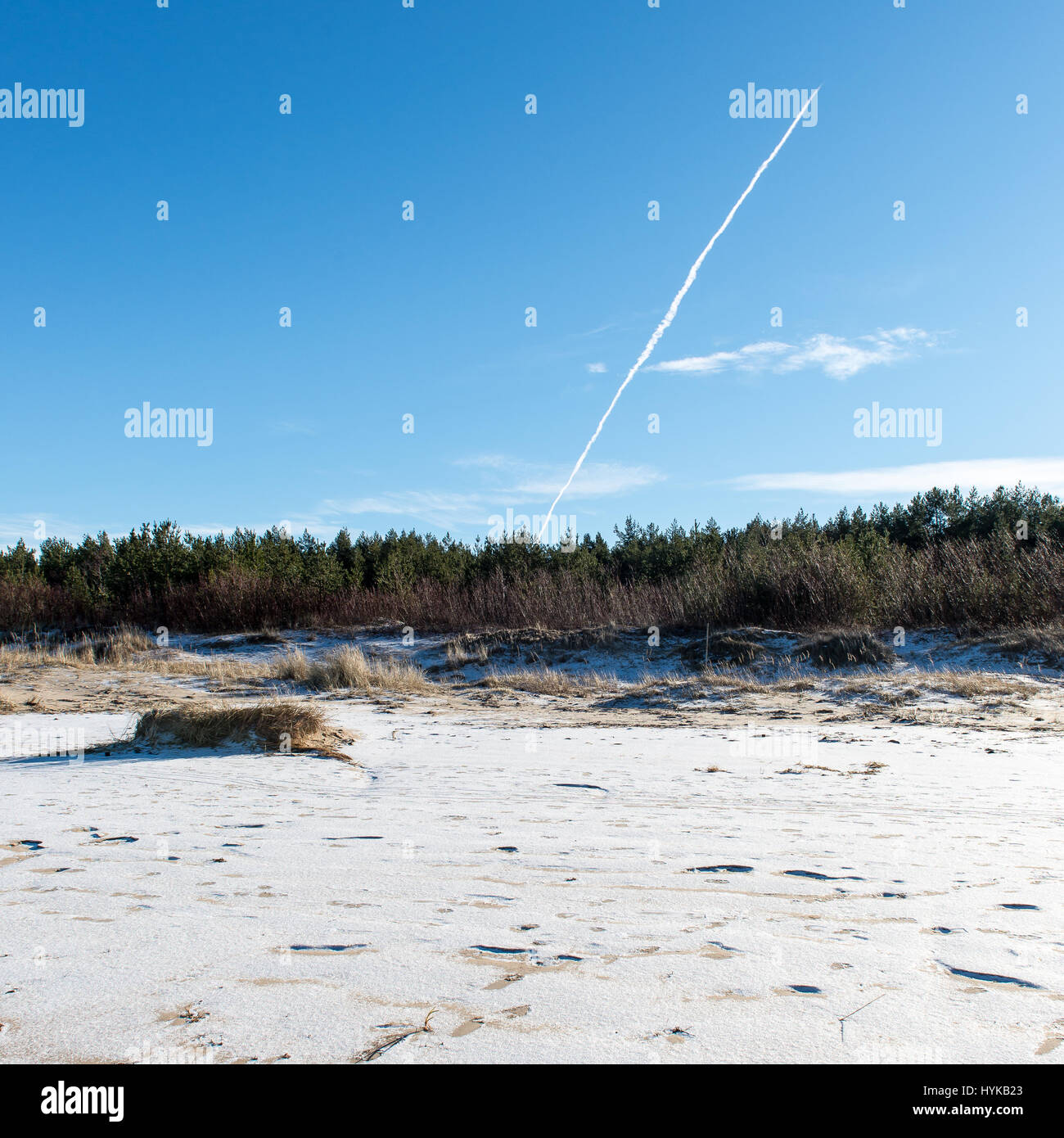 frozen sea beach with blue sky and snow covered tracks Stock Photo - Alamy