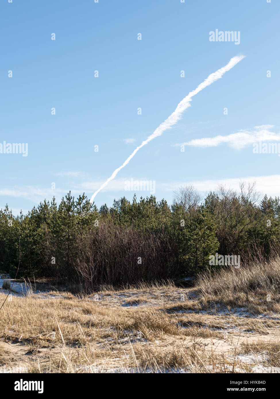 frozen sea beach with blue sky and snow covered tracks Stock Photo - Alamy