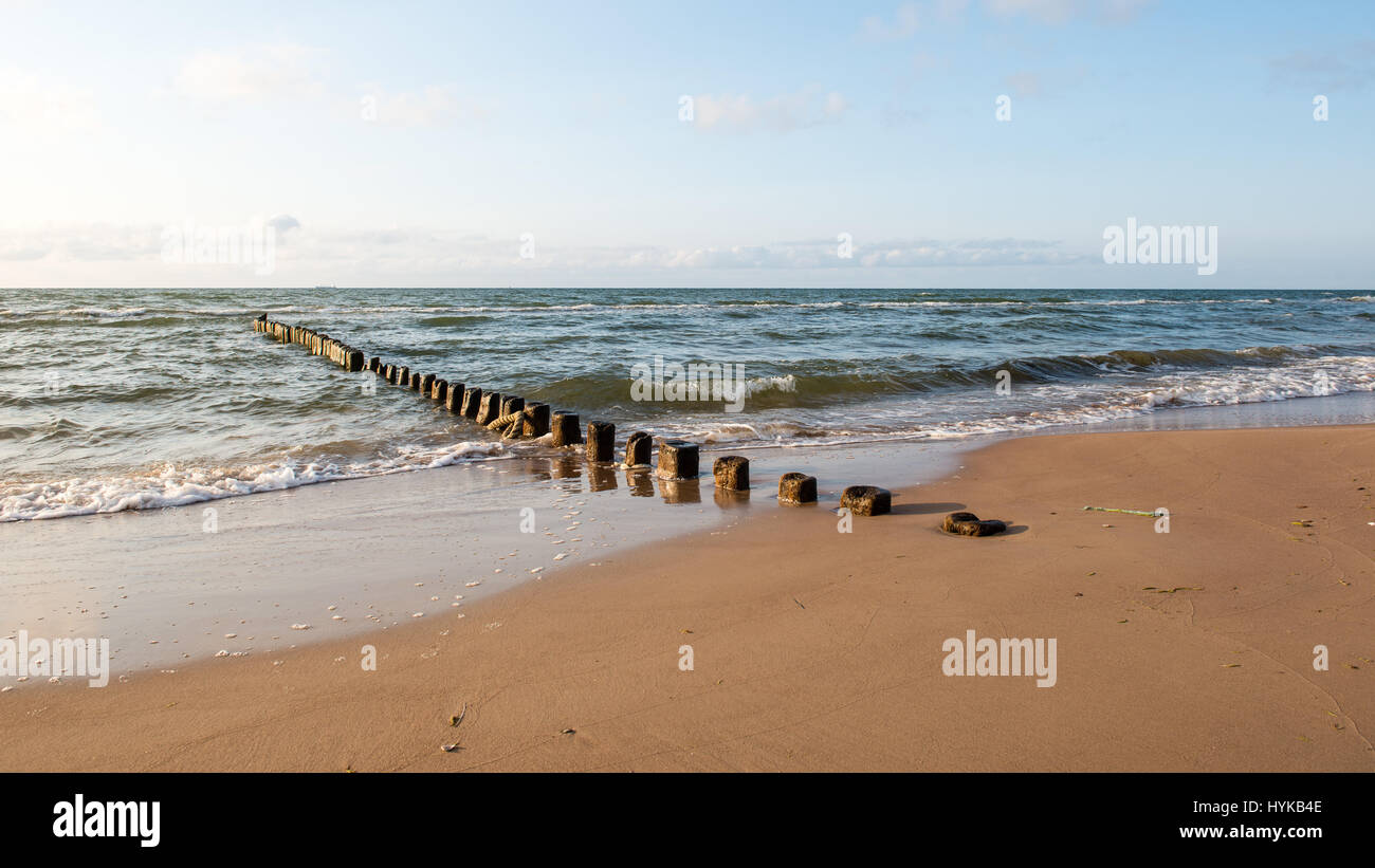 Breakwater of one row of wooden poles at the Sea coast Stock Photo - Alamy
