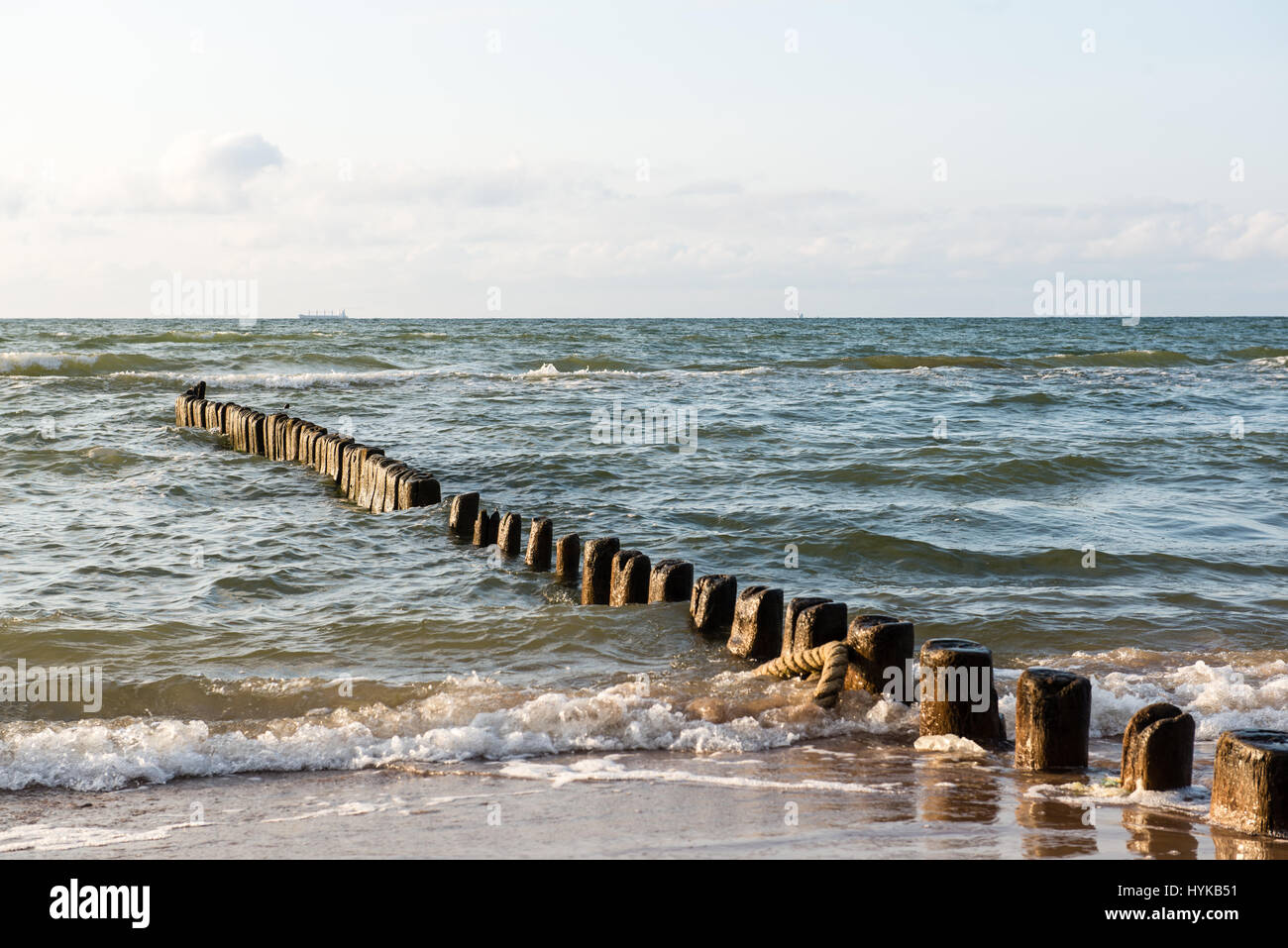 Breakwater of one row of wooden poles at the Sea coast Stock Photo - Alamy