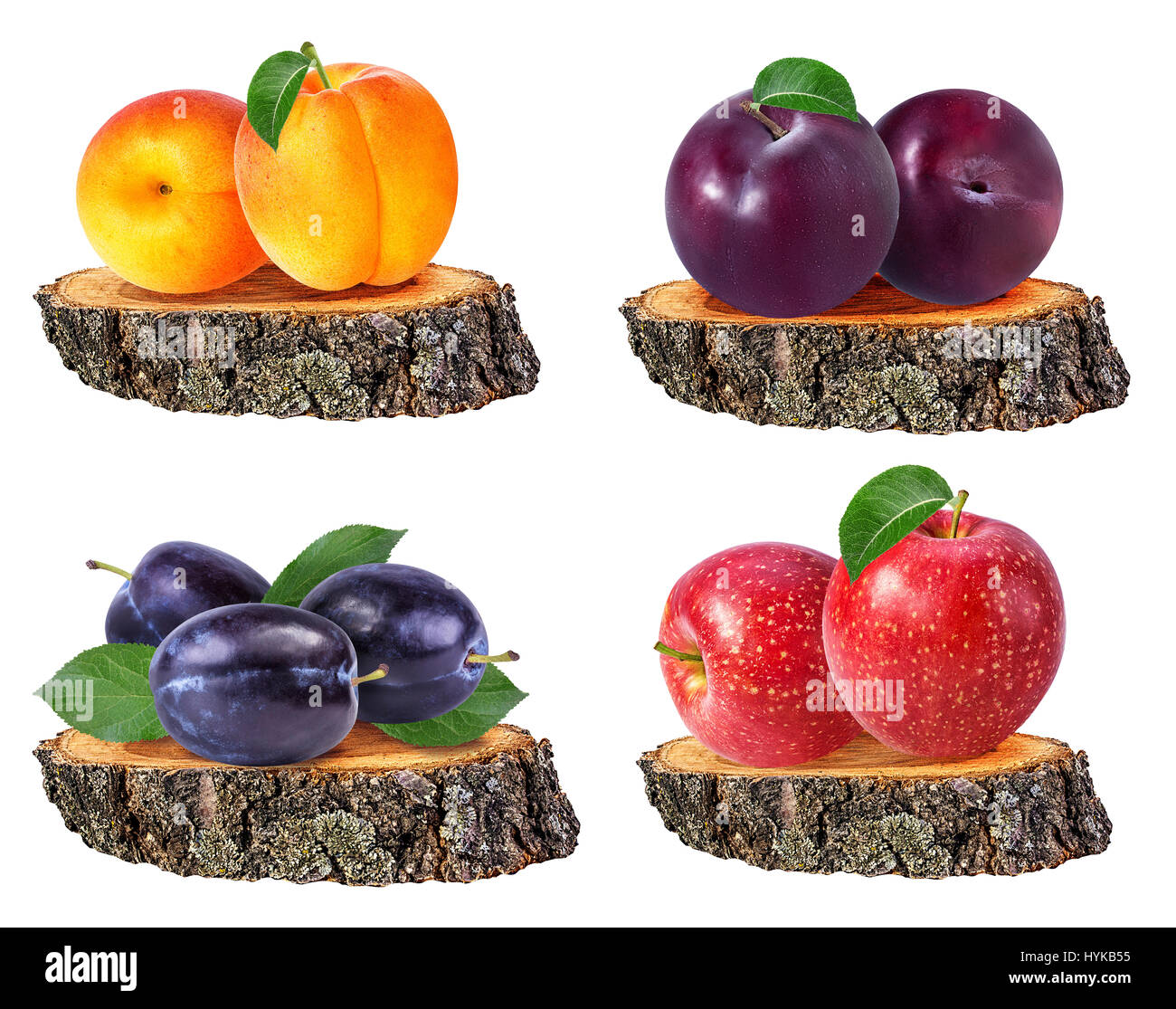 Cross section plum hi-res stock photography and images - Alamy