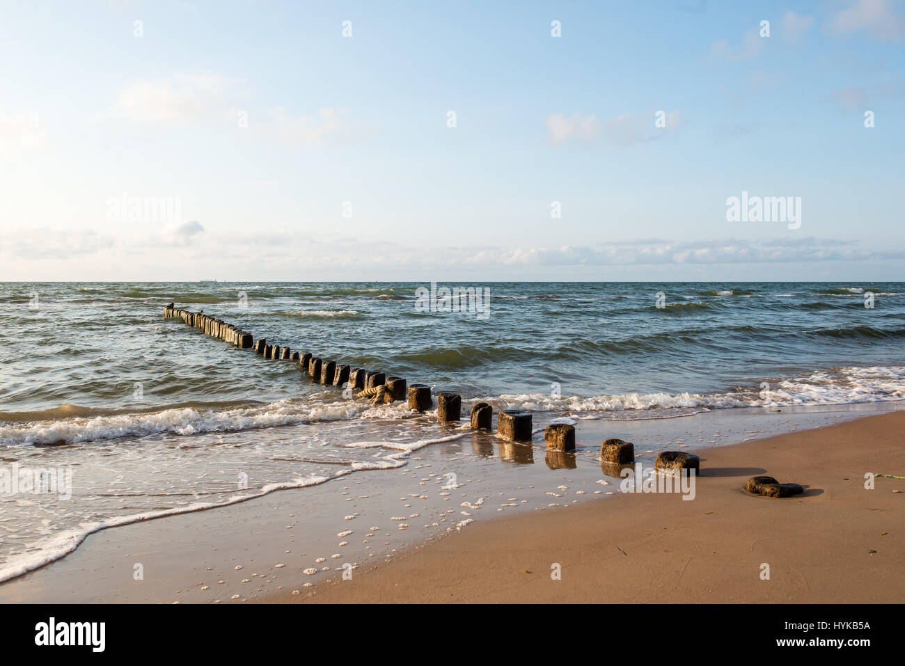 Breakwater of one row of wooden poles at the Sea coast Stock Photo - Alamy