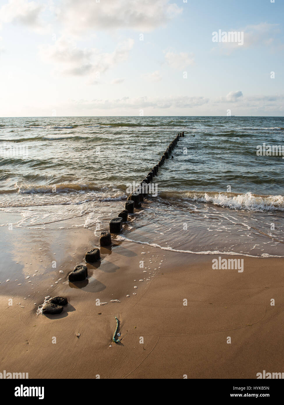 Breakwater of one row of wooden poles at the Sea coast Stock Photo - Alamy