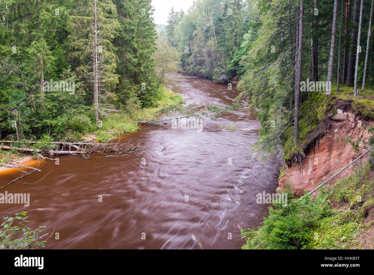 Mountain river with Flowing Water Stream and sandstone cliffs Stock ...