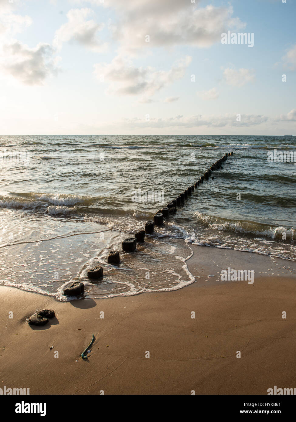 Breakwater of one row of wooden poles at the Sea coast Stock Photo - Alamy