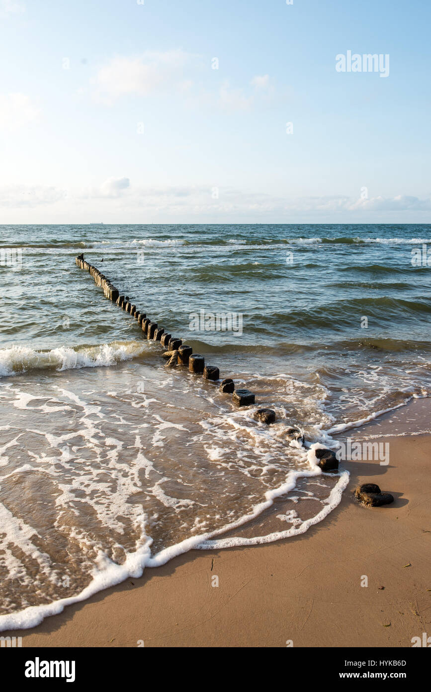 Breakwater of one row of wooden poles at the Sea coast Stock Photo - Alamy