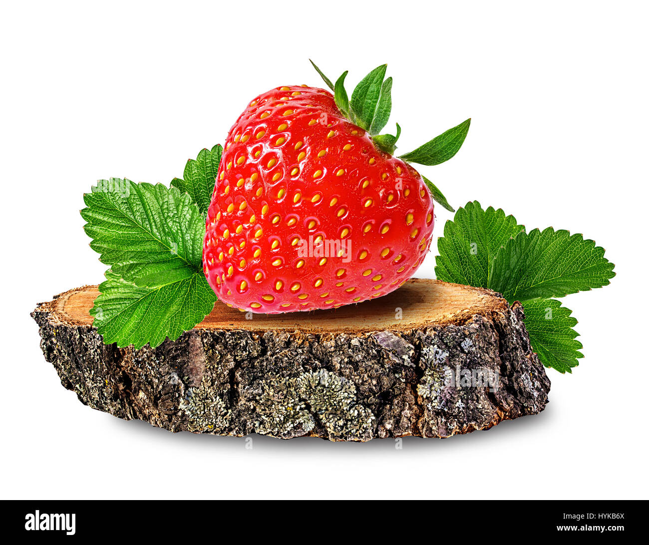 Strawberry on a tree stump isolated on white background Stock Photo - Alamy