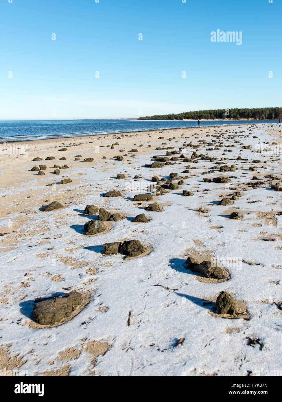 frozen sea beach with blue sky and snow covered tracks Stock Photo - Alamy
