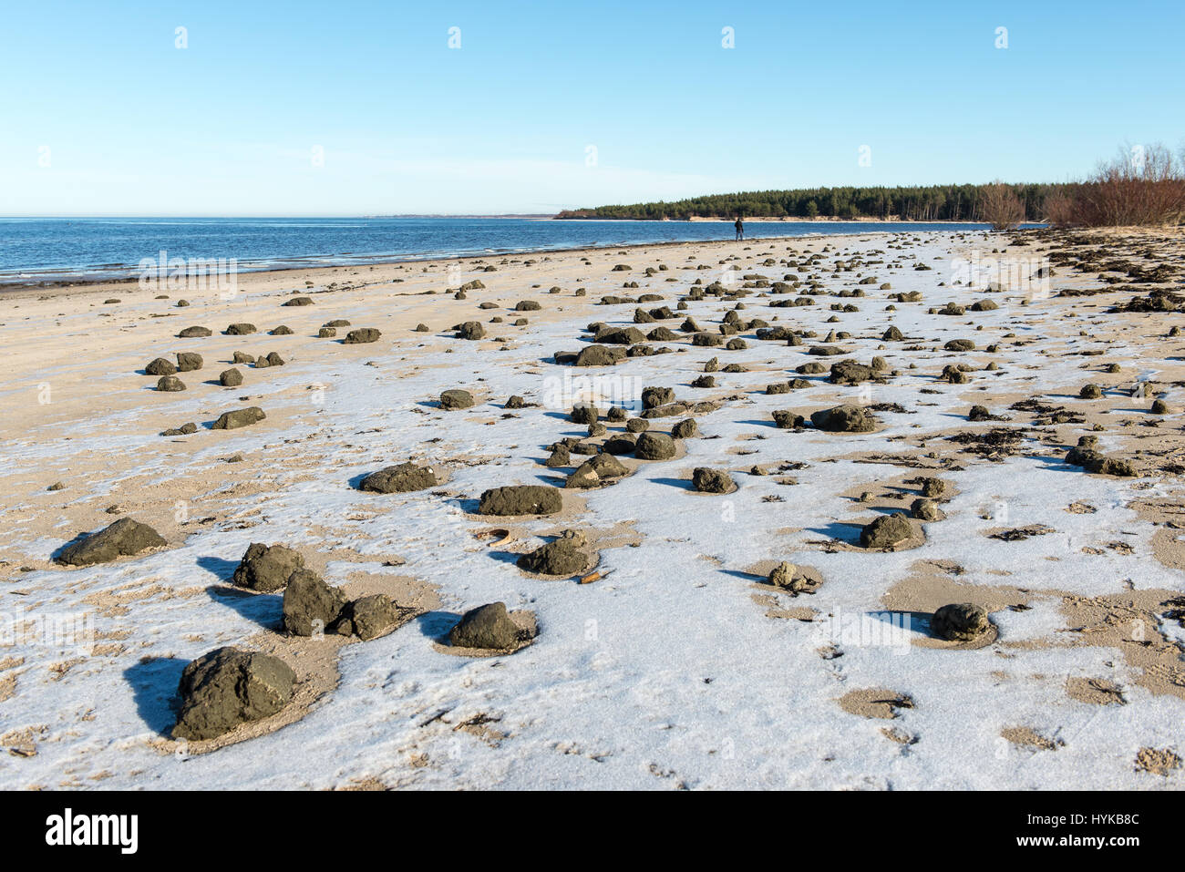 frozen sea beach with blue sky and snow covered tracks Stock Photo - Alamy
