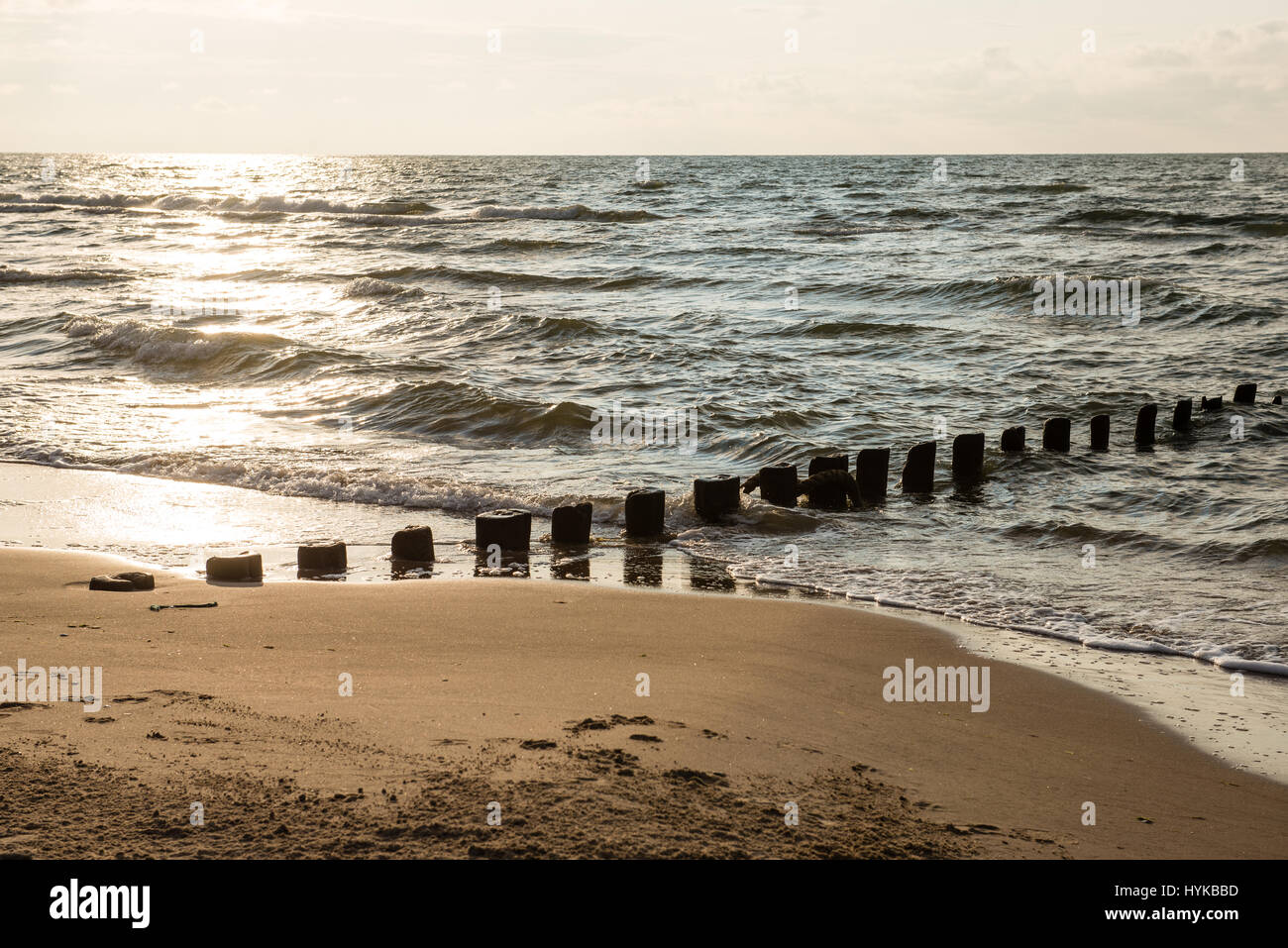 Breakwater of one row of wooden poles at the Sea coast Stock Photo - Alamy