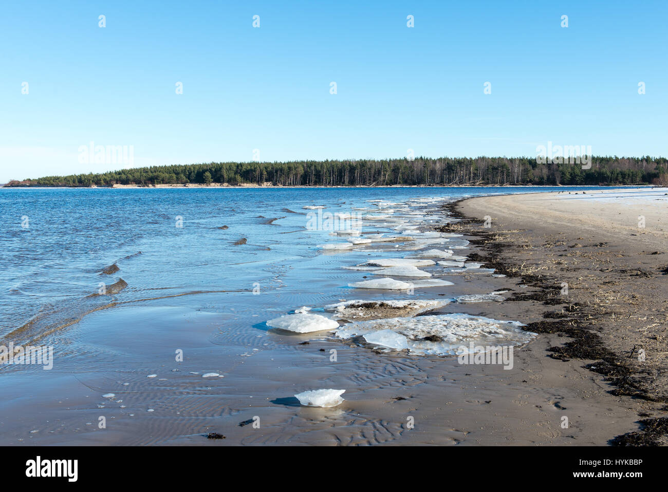 frozen sea beach with blue sky and snow covered tracks Stock Photo - Alamy