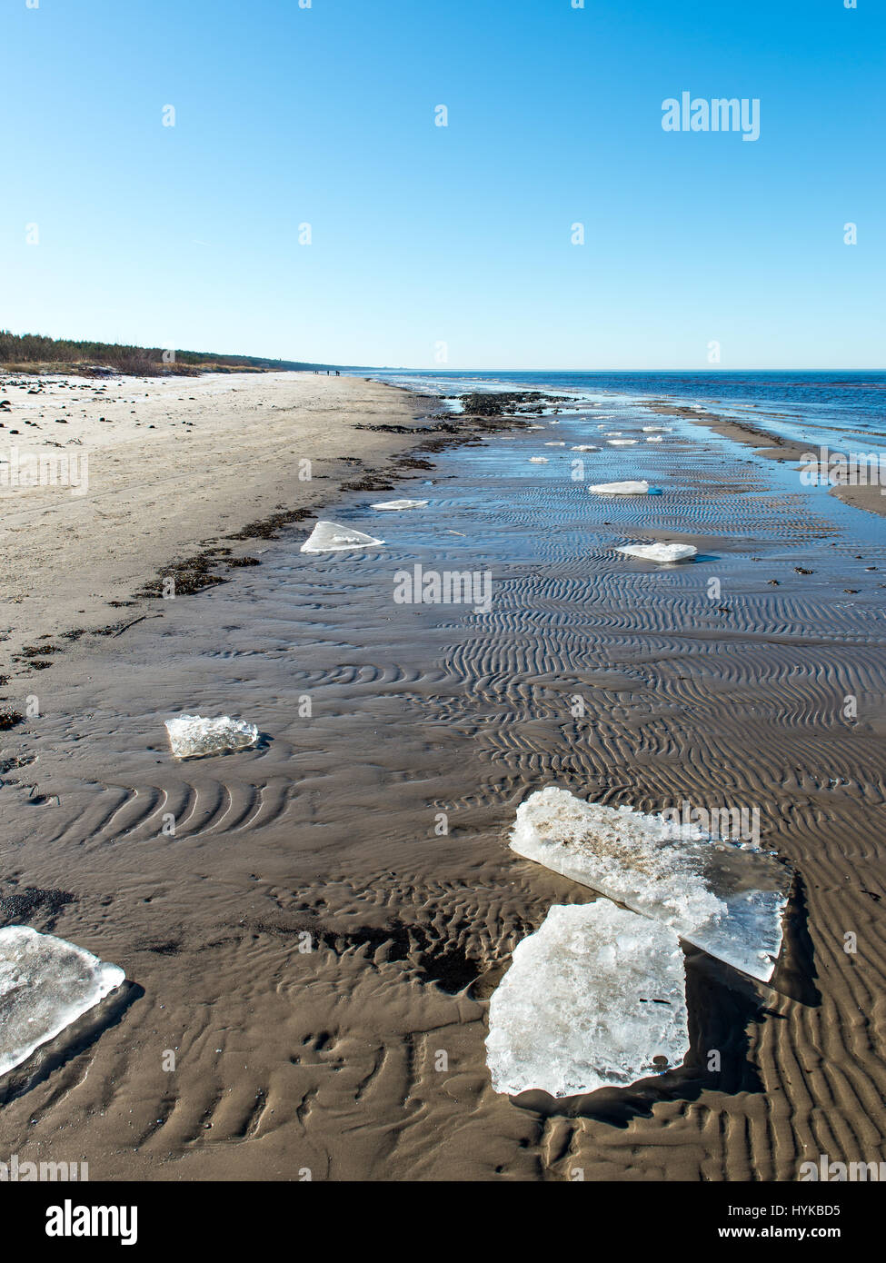 frozen sea beach with blue sky and snow covered tracks Stock Photo - Alamy