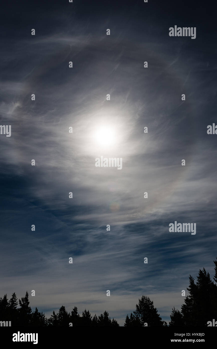 Halo over trees hi-res stock photography and images - Alamy