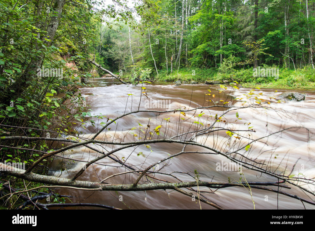 Mountain river with Flowing Water Stream and sandstone cliffs Stock ...