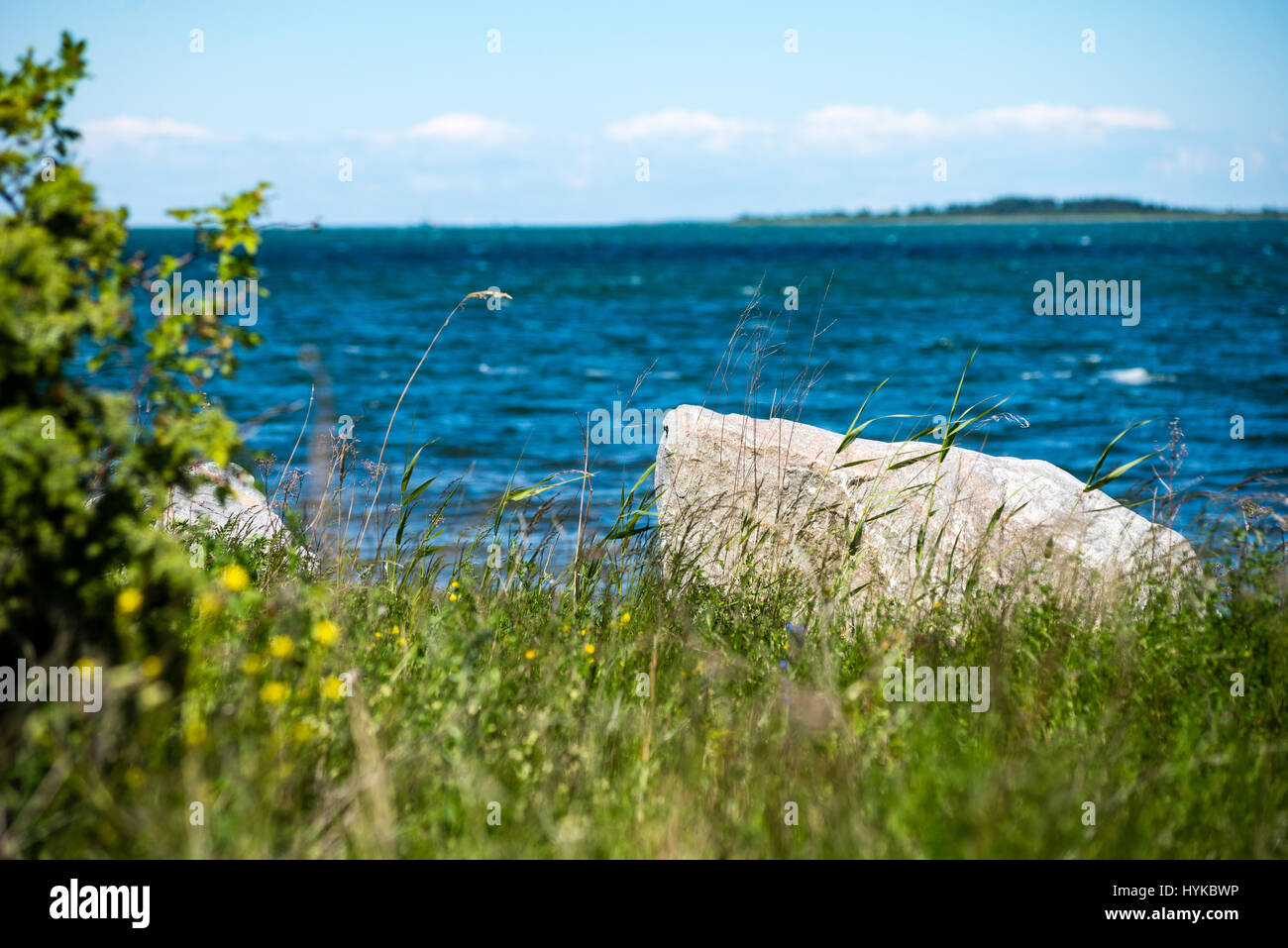 comfortable beach of the baltic sea with rocks and green vegetation in ...